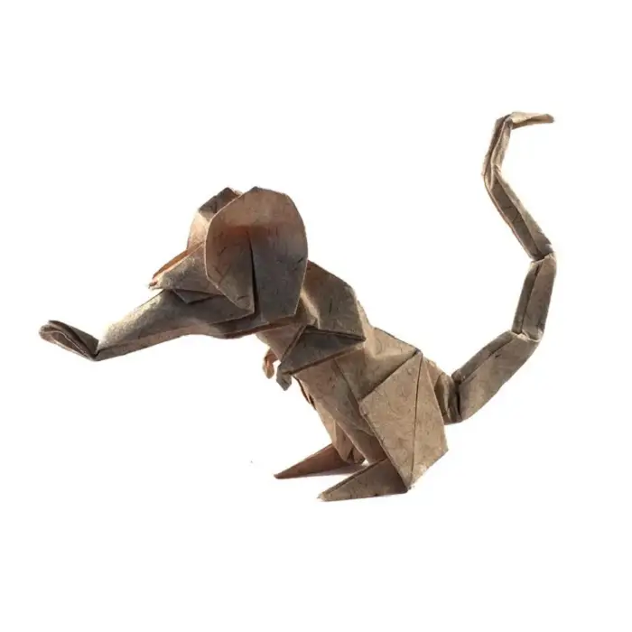 Advanced Origami - Origami Expressions