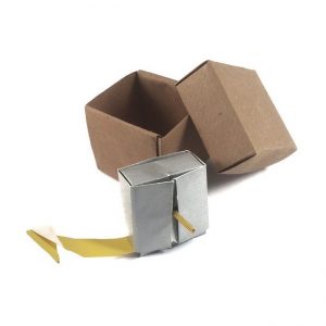 Intermediate Level Origami - Origami Expressions