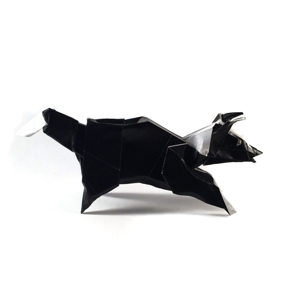 Advanced Origami - Origami Expressions