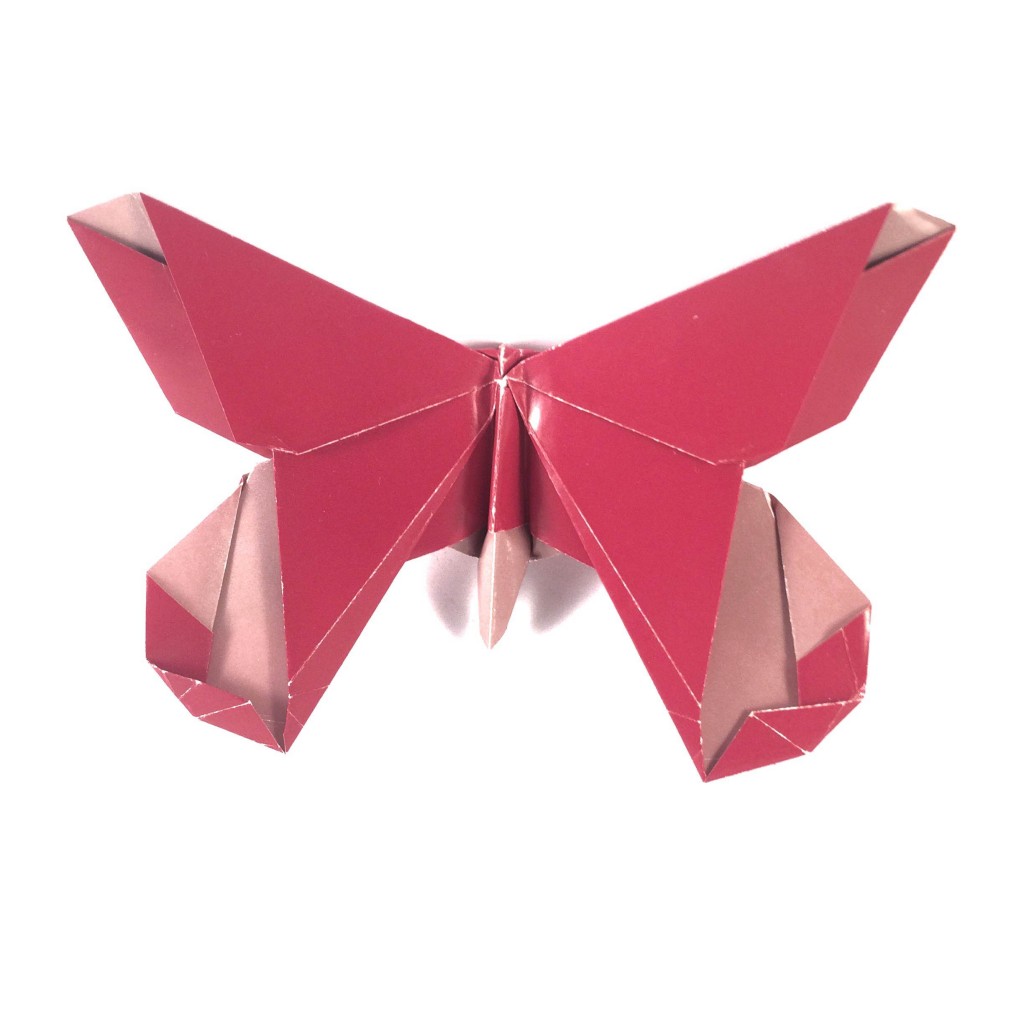 Origami Photo Album - Origami Expressions