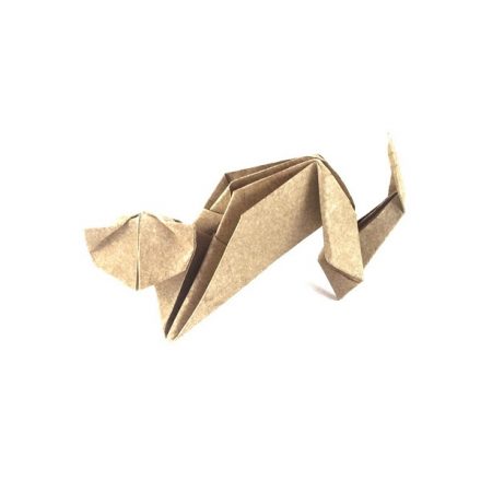 Intermediate Level Origami - Origami Expressions