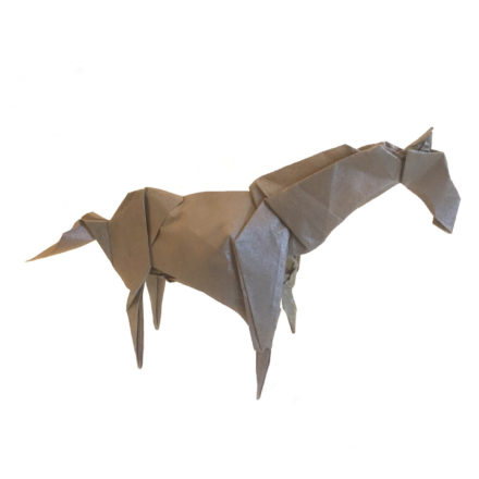 Advanced Origami - Origami Expressions