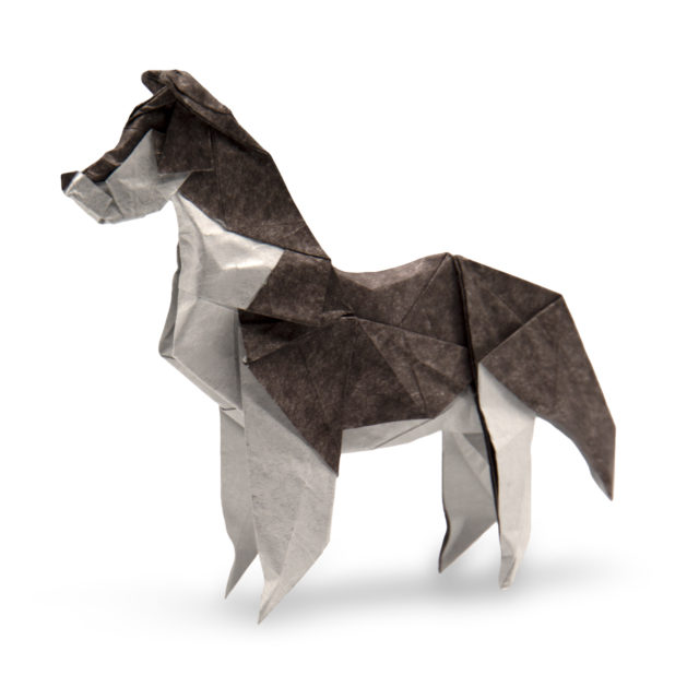 Advanced Origami - Origami Expressions